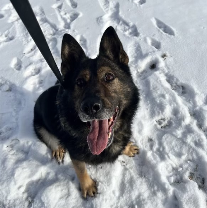 Sad News from the Becket Police Department – The Becket Beat